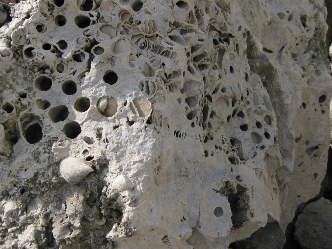 Thornton Quarry, Illinois – Emily Zawacki, Ph.D.