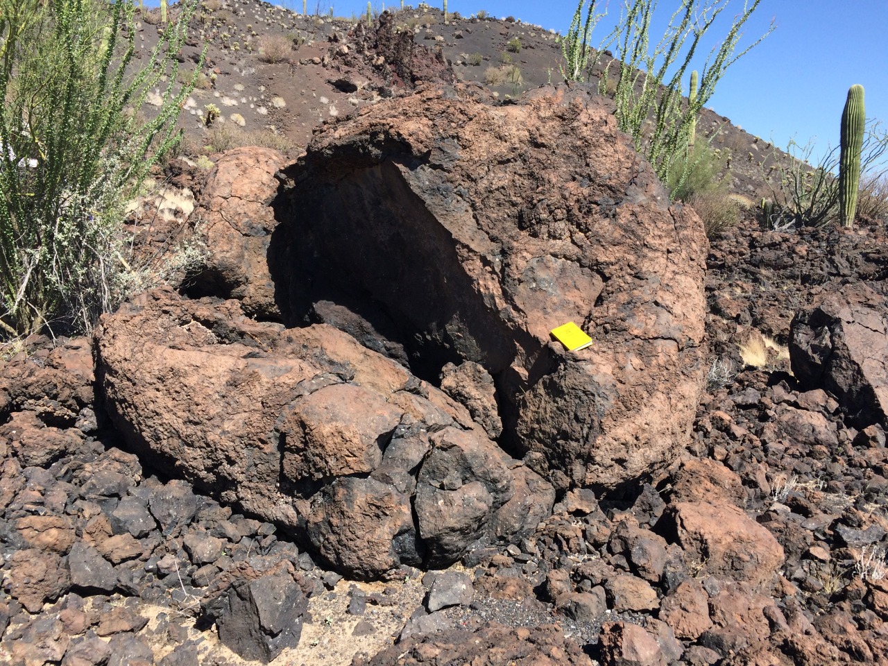 Pinacate Volcanic Field – Emily Zawacki, Ph.D.